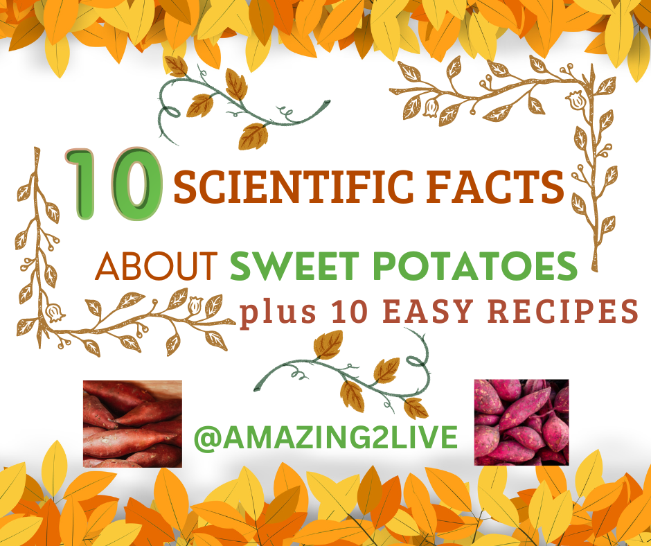 10 Scientific Facts About Sweet Potatoes + Amazing Recipes - Amazing2Live